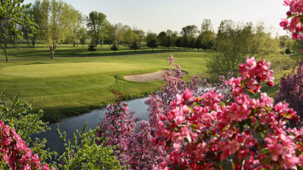 About the Course - Albany Golf Club